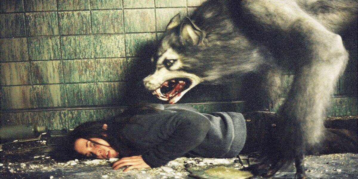 Night Howls: 4 Underrated Werewolf Movies To Watch Under A Full Moon ...